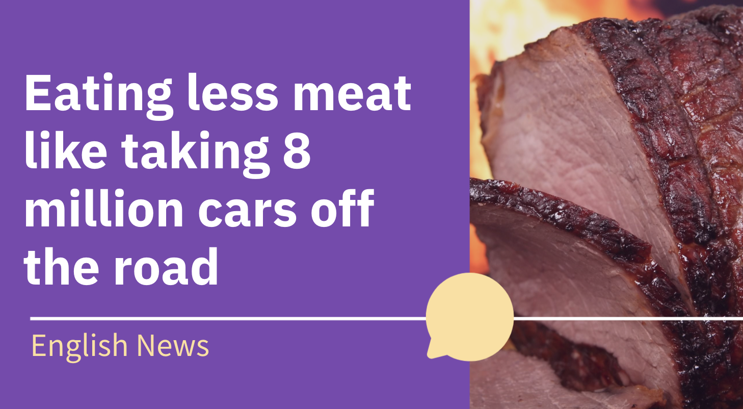 News Eating Less Meat Saves The Environment Abridge Academy