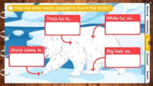 FREE Trial Class Toolkit – Abridge Academy